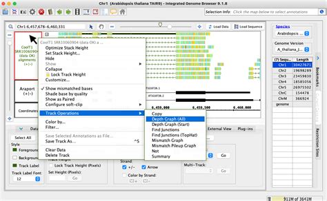 Igb Depth Graph For Customer Genomes