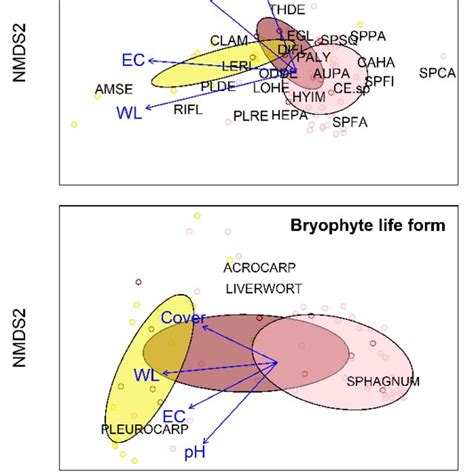 Nmds Diagram Of Bryophyte Cover In Quadrats Top Bryophyte Species