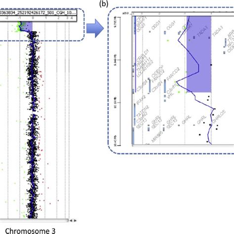 A Array Comparative Genomic Hybridization Acgh Using Agilent