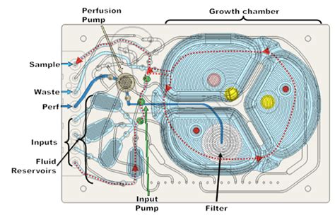 A True Perfusion Bioreactor That Fits In The Palm Of Your Hand