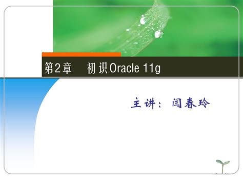oracle11g教程 第2章 初识oracle11g word文档在线阅读与下载 无忧文档