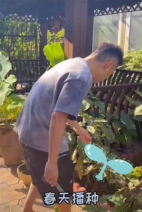 47歲黃征在自家花園裡干農活穿拖鞋在泥地走庭院一角曝光豪宅 壹讀
