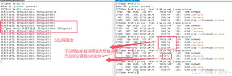 Linux操作系统1 进程2 Linux中的进程状态，r，s，d，t，t，z，x，僵尸进程，孤儿进程进程状态t Csdn博客