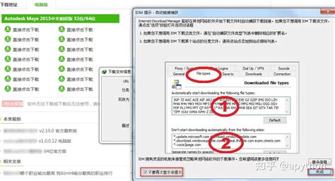 神器分享！idm下载器与edge idm插件的实战安装与使用教程！ 知乎