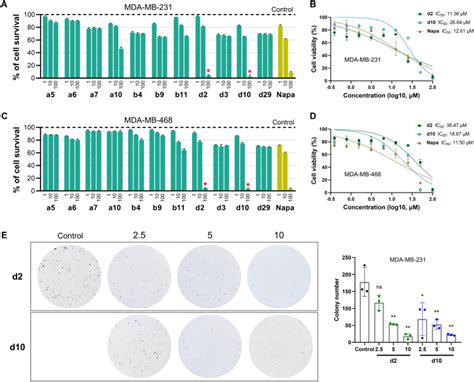 Discovery Of Novel Stat3 Inhibitors With Anti Breast Cancer Activity