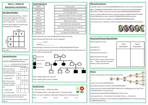 reproduction and inheritance revision placemat teaching resources