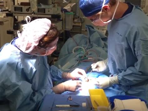 Cochlear Gets Us Clearance To Market Osia System Australian Manufacturing Forum