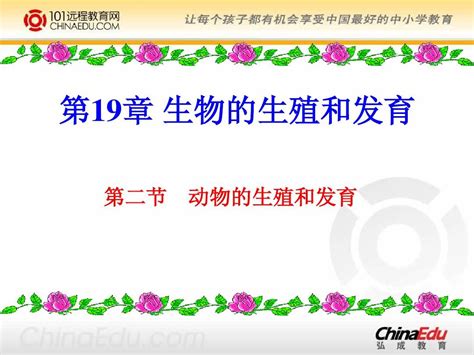 北师大版初中八上192动物的生殖和发育ppt课件 昆虫的生殖和发育word文档在线阅读与下载无忧文档