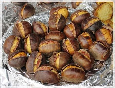 밤 효능 및 밤의 건강상 이점 12가지