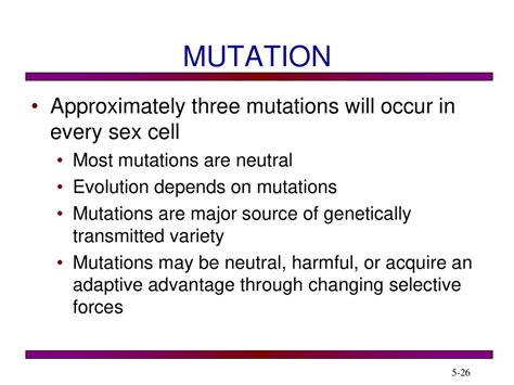 5 C H A P T E R Evolution And Genetics Ppt Download