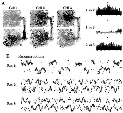 Data Relating To The Question Of Multiple Interfering Maps A Lef T