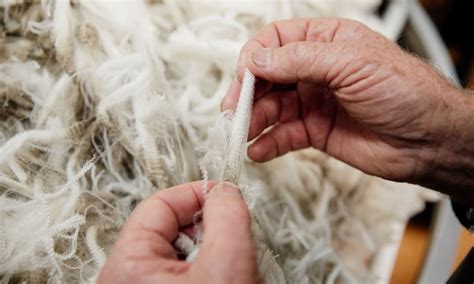Người bán len merino New Zealand thu hút nhà sản xuất ở Úc New
