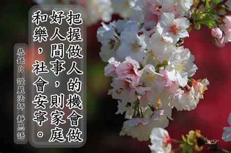 靜思語 把握做人的機會做好人間事， 則家庭和樂，社會安寧。 恭錄自 證嚴法師 靜思語