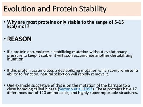 Protein Stability