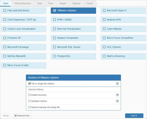5 1 0vmware Single File Restore Sepsesam