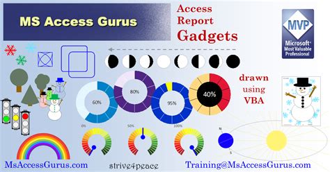 Report Gadgets In Access Draw Using Vba