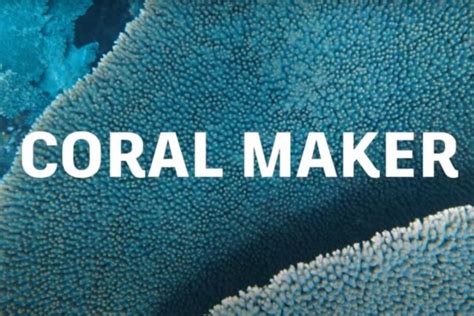 AI And Robotics Being Used To Revive Coral Reefs DIVE Magazine