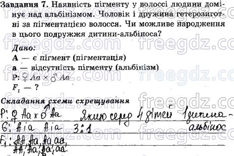 ГДЗ відповіді та розвязання до вправи №7 Варіант 2 Практична робота № 3 Складання схем