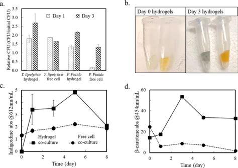 使用海藻酸钙水凝胶通过区室化共培养光生物生产高价值颜料scientific Reports X Mol