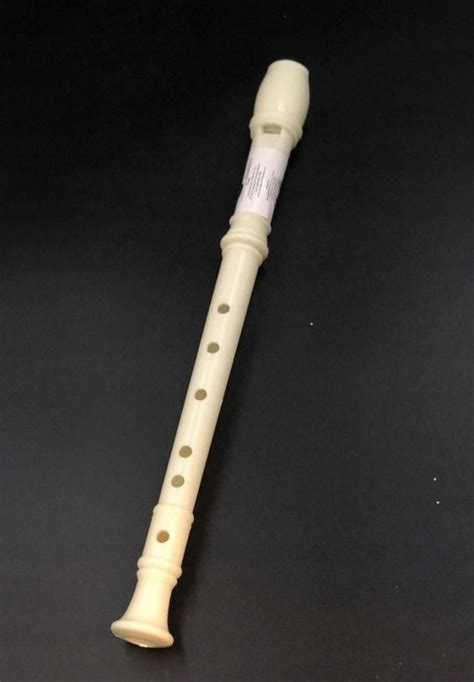 FLET PROSTY INSTRUMENT DO NAUKI SZKOLNY PLASTIKOWY Allegro Pl