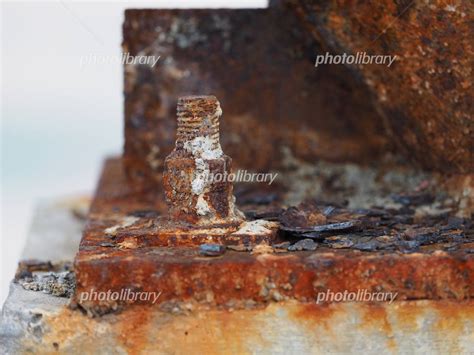 Photolibrary
