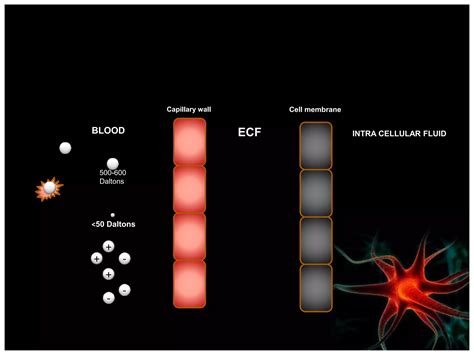 Factors Affecting Distribution Of Drugs Ppt Chemistry Science