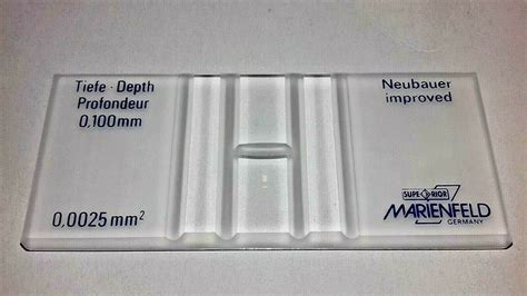 Cell Counting Chamber Improved Neubauer Hemacytometer By Marien Field