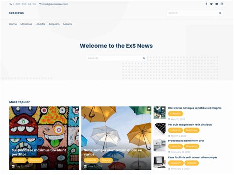 Fastest Wordpress Themes Free Download