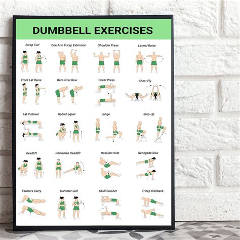 Dumbbell Workout Dumbbell Workout Chart Dumbbell Exercises Dumbbell