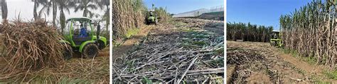 Sugarcane Cultivation Machine