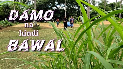 Ep Damo Na Di Bawal At Pwede Sa Ating Backyard Youtube