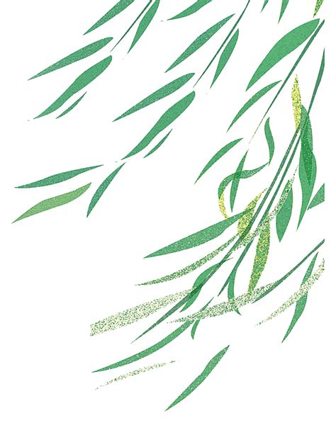 柳叶手绘风格