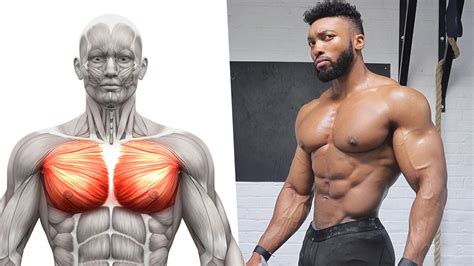 3 Unusual Exercises To Build Bigger Upper Chest Muscles Boxrox