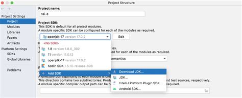 Setup Tai E In Intellij Idea