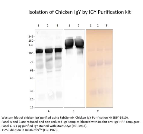 Chicken Igy Purification Kit 10 Egg Yolks Fabgennix