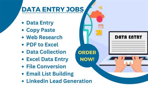 Do Excel Data Entry Web Research Data Entry Copy Paste By Muhazib