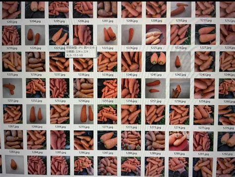 蔬菜识别数据集 蔬菜数据集 用于训练，有十种蔬菜，如图已经标注好的版本 知乎