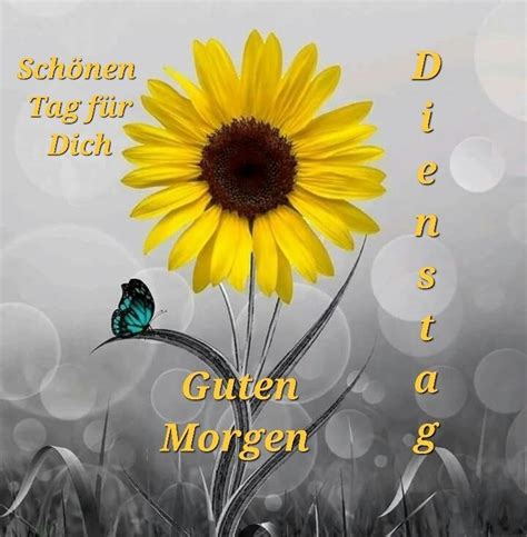 Pin von Claudia Zahn auf Guten morgen wünsche Guten morgen schöne