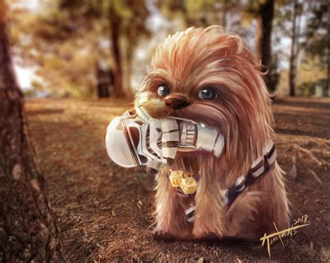 Звездные Войны Star Wars сообщество фанатов картинки гифки