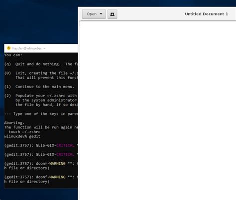 cannot open display when opening gedit example · issue 75