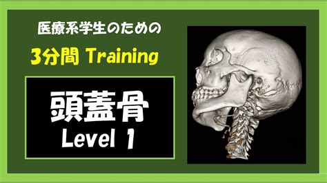 【医療系学生】3分間トレーニング 頭蓋骨 Level 1 Youtube