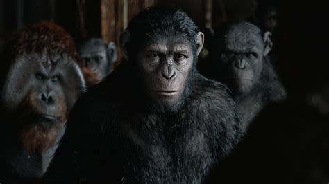 Planet Of The Apes Original Female Ape