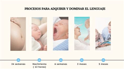 Etapas De La Comunicacion