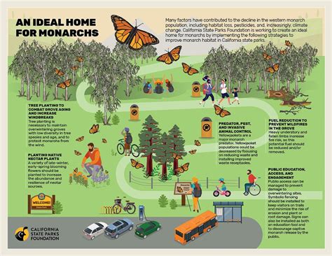Monarch Butterfly Habitat Restoration At Anthony Baldessin Blog