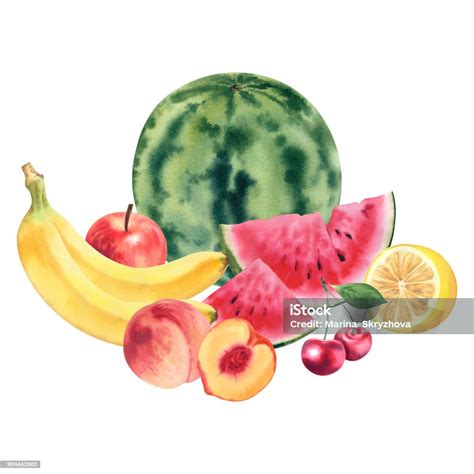 과일 레몬 수박 체리 사과 바나나 세트 수채화 그림입니다 과즙이 풍부한 열대 과일의 구성 건강한 식습관 수확 0명에 대한 스톡 벡터 아트 및 기타 이미지 Istock