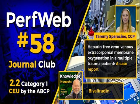 Heparin Free Vv Ecmo Veno Venous Extracorporeal Membrane Oxygenation