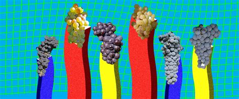 The Healthiest Wines To Drink While The World Burns Around You
