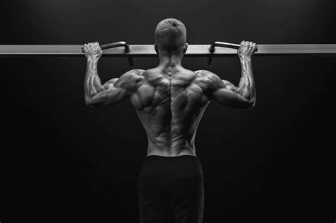 Ultimate Guide To The Lats The Muscle Group Series Part 1 Blog