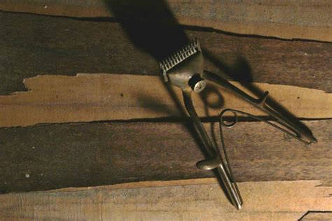 Les Origines De La Tondeuse Barbering Store
