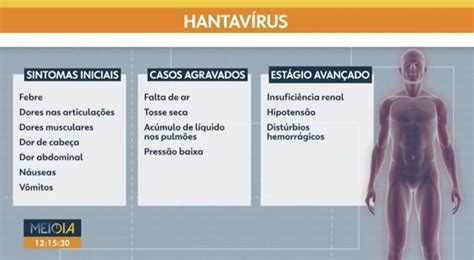 Hantavírus No Paraná Saiba Sintomas Como Acontece A Transmissão E